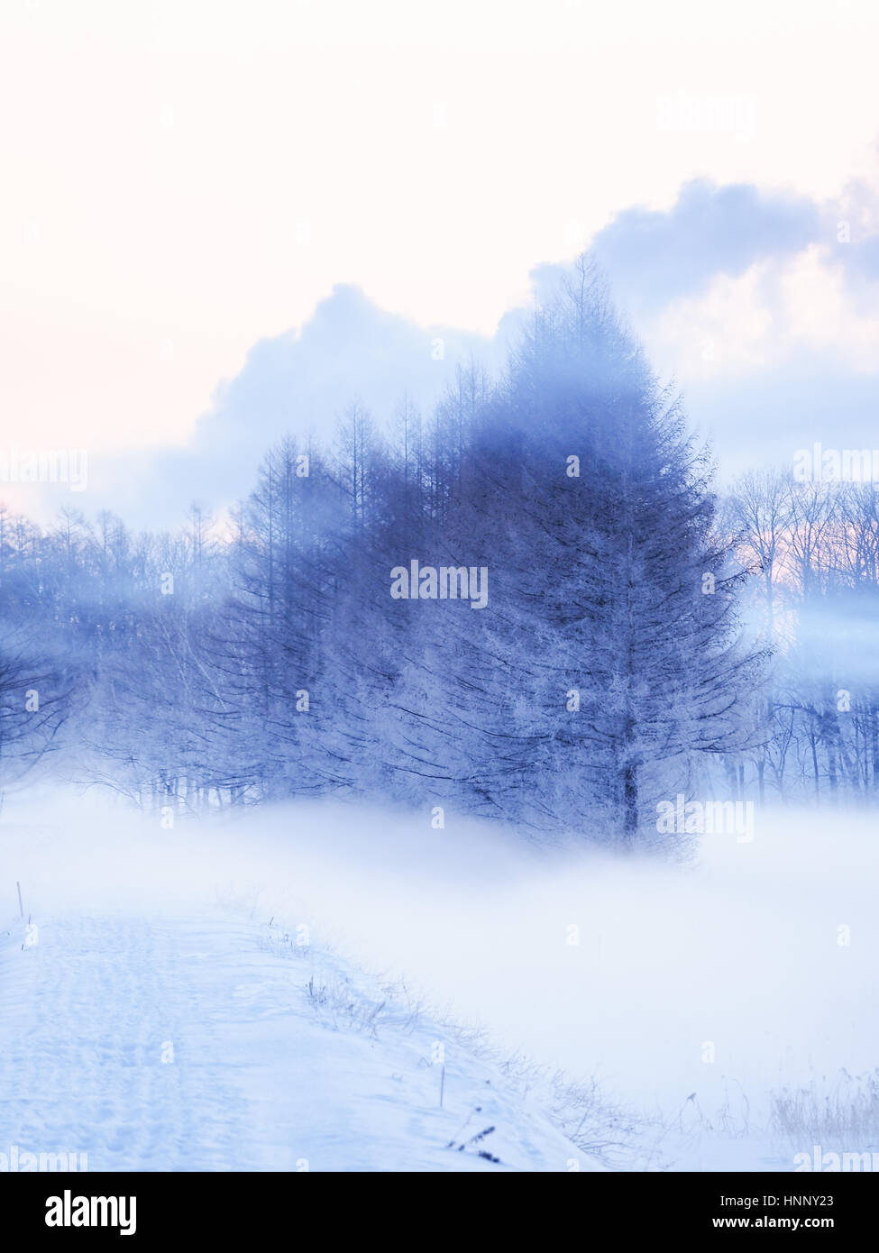 Frost smoke in the morning Stock Photo - Alamy