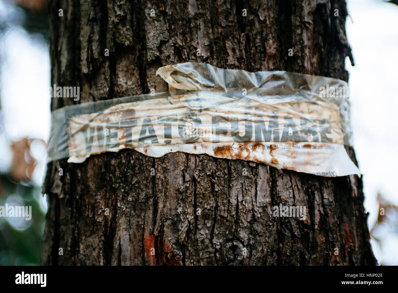 no smoking sign in a forest Stock Photo - Alamy