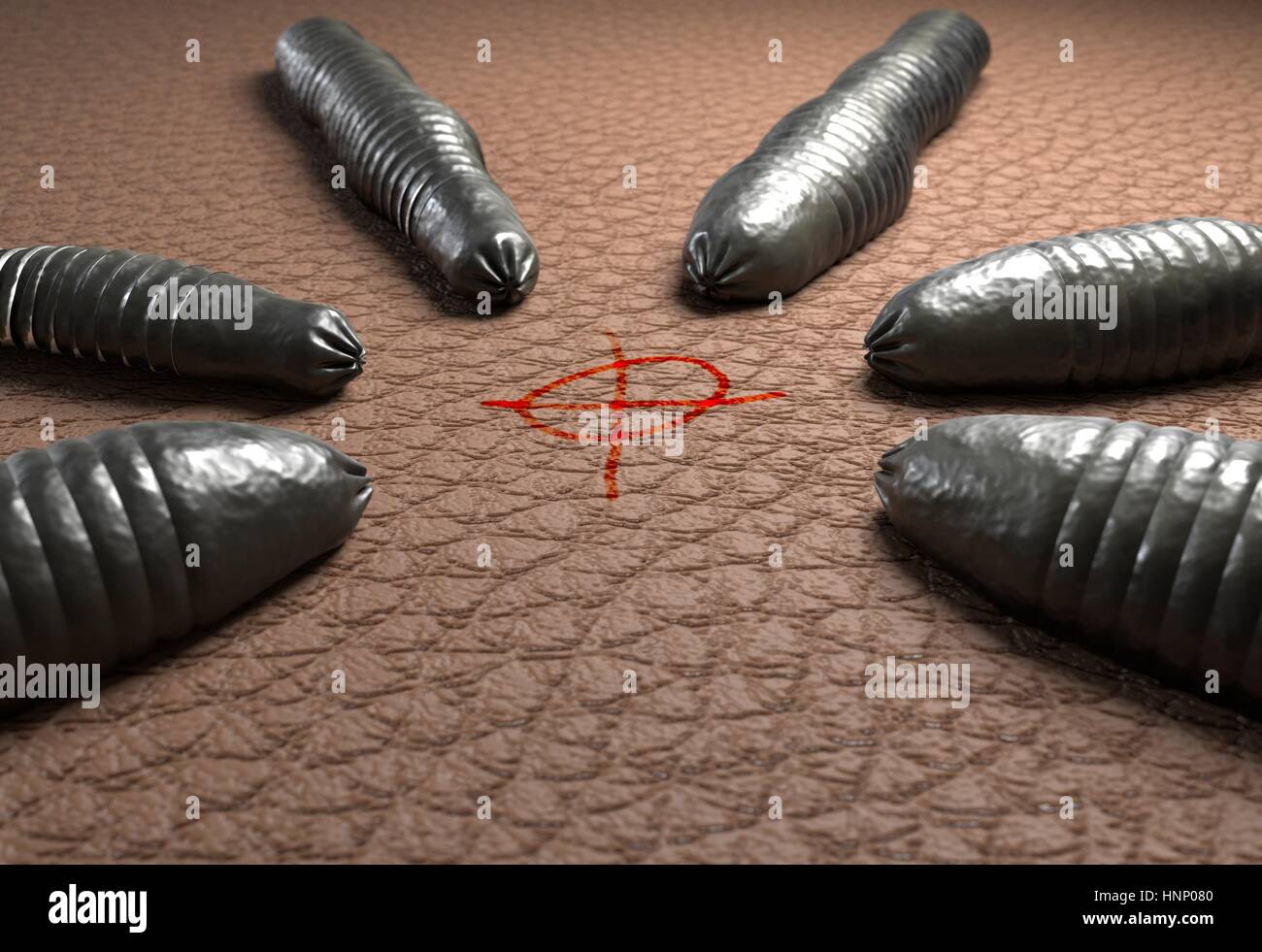leech worms targeting on human skin 3d illustration Stock Photo - Alamy