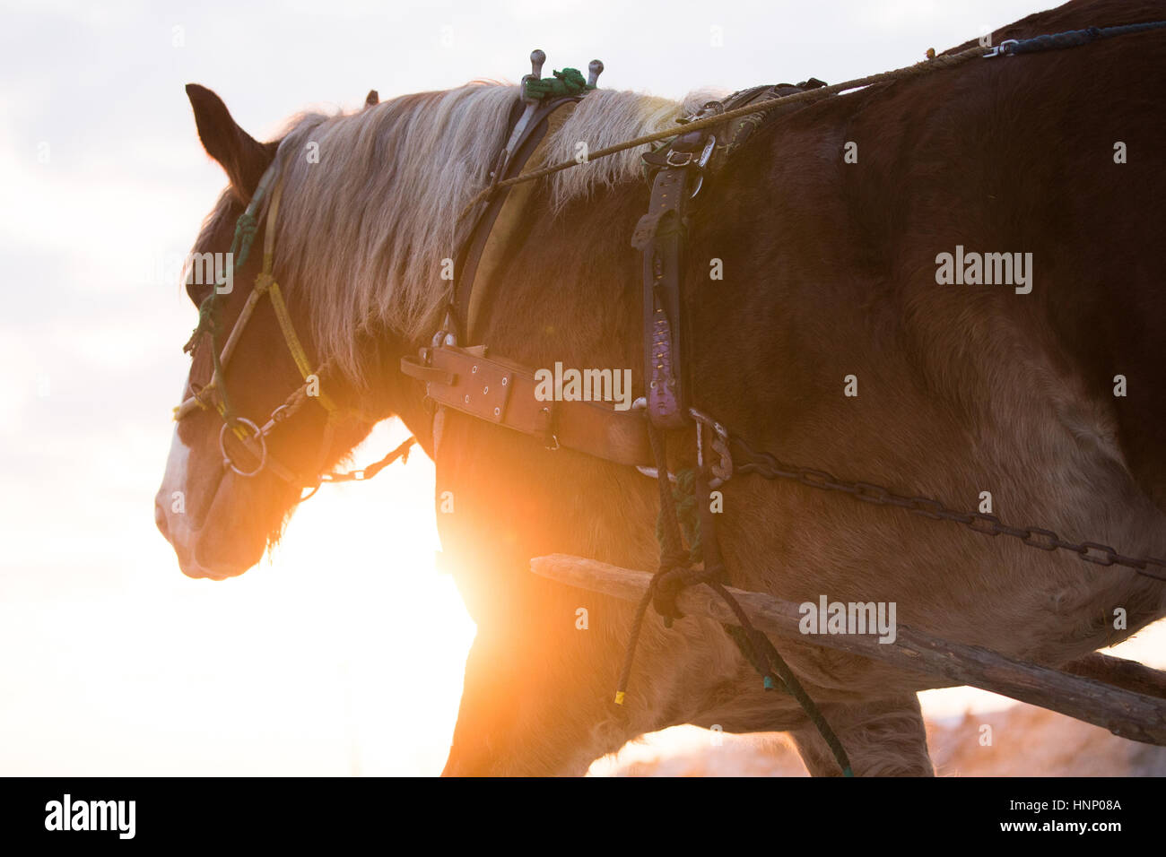 A race track in winter Stock Photo - Alamy