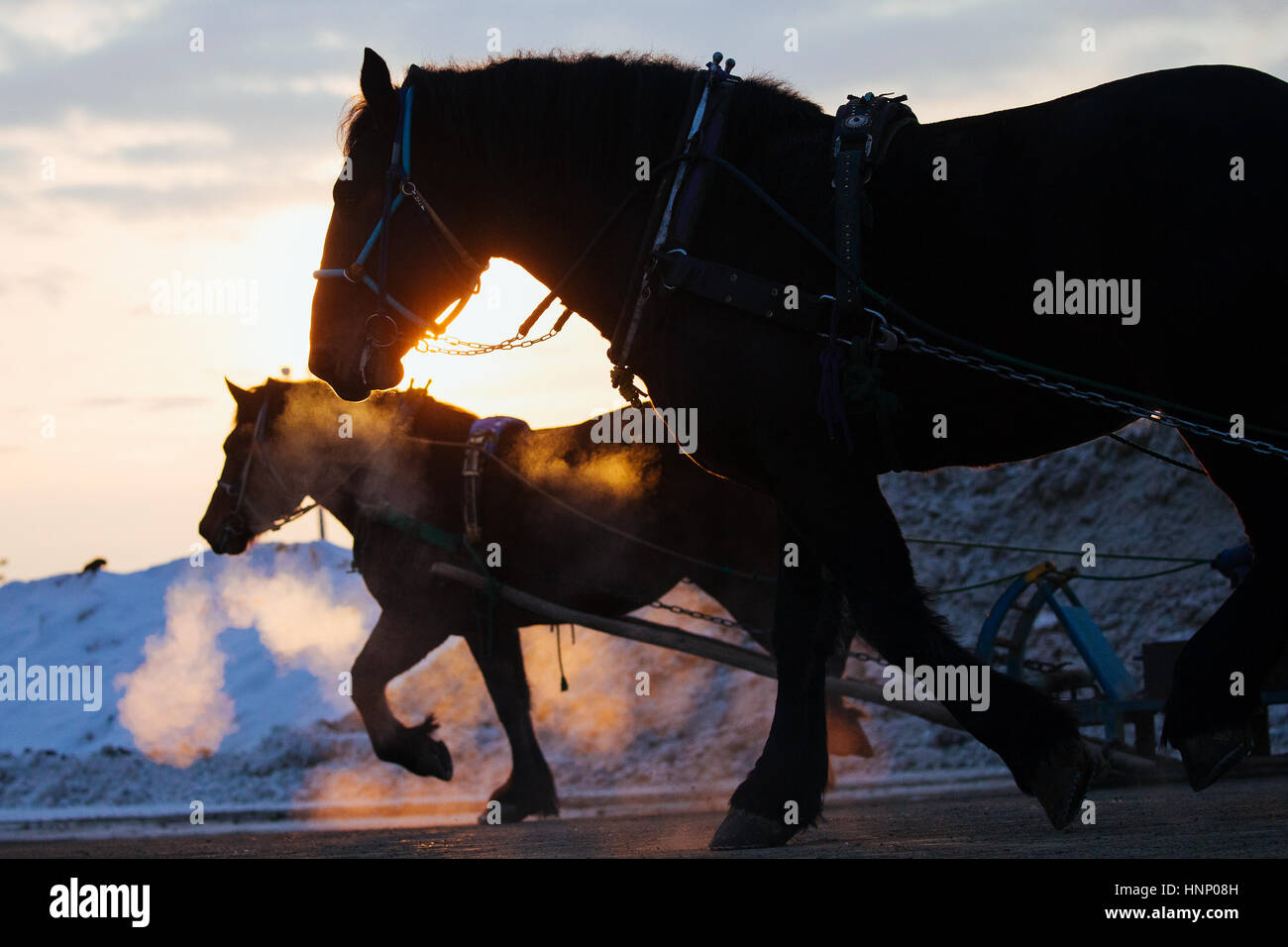 A race track in winter Stock Photo - Alamy