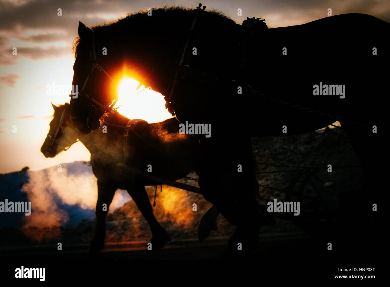 A race track in winter Stock Photo - Alamy