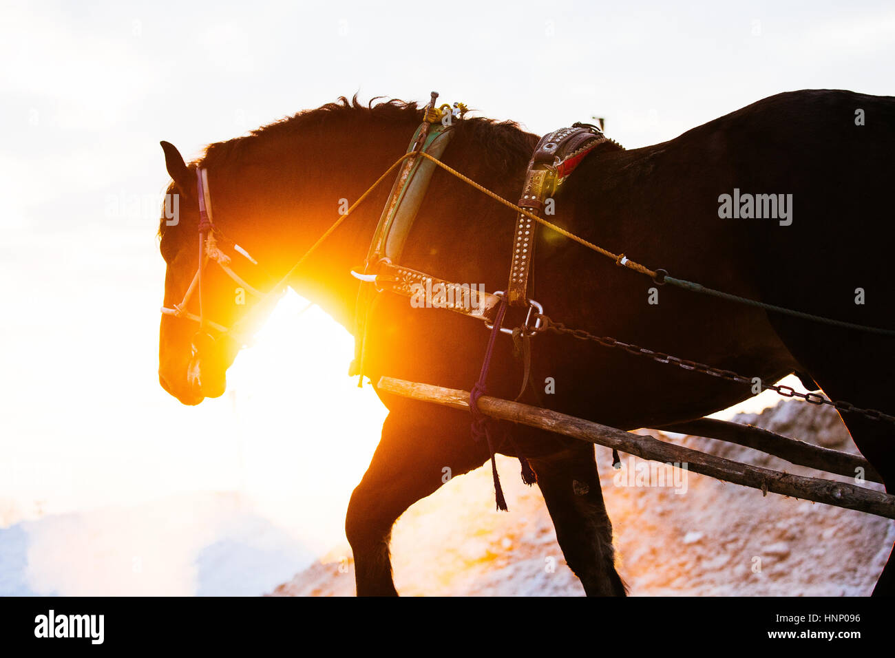 A race track in winter Stock Photo - Alamy