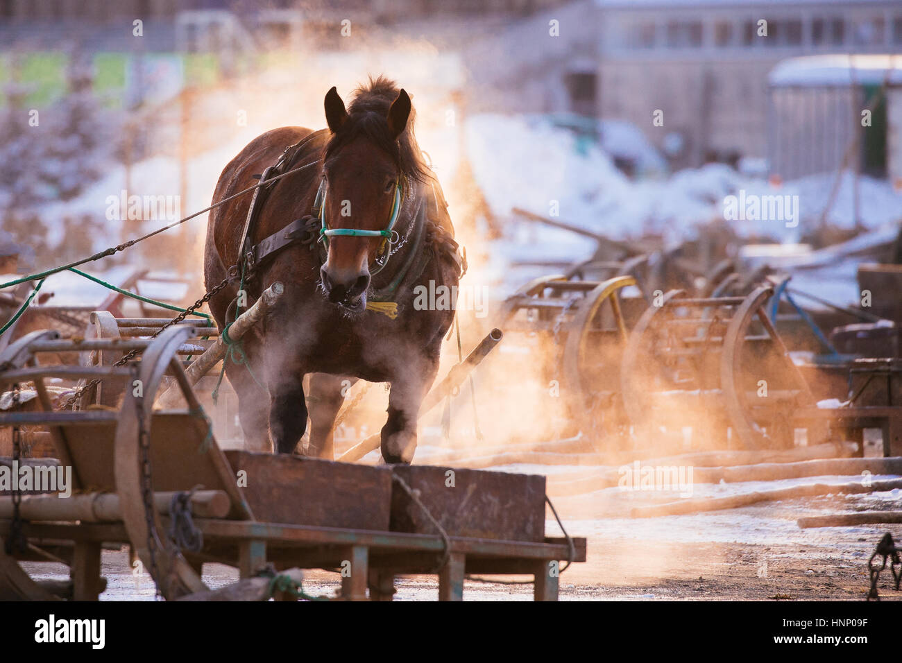 A race track in winter Stock Photo - Alamy