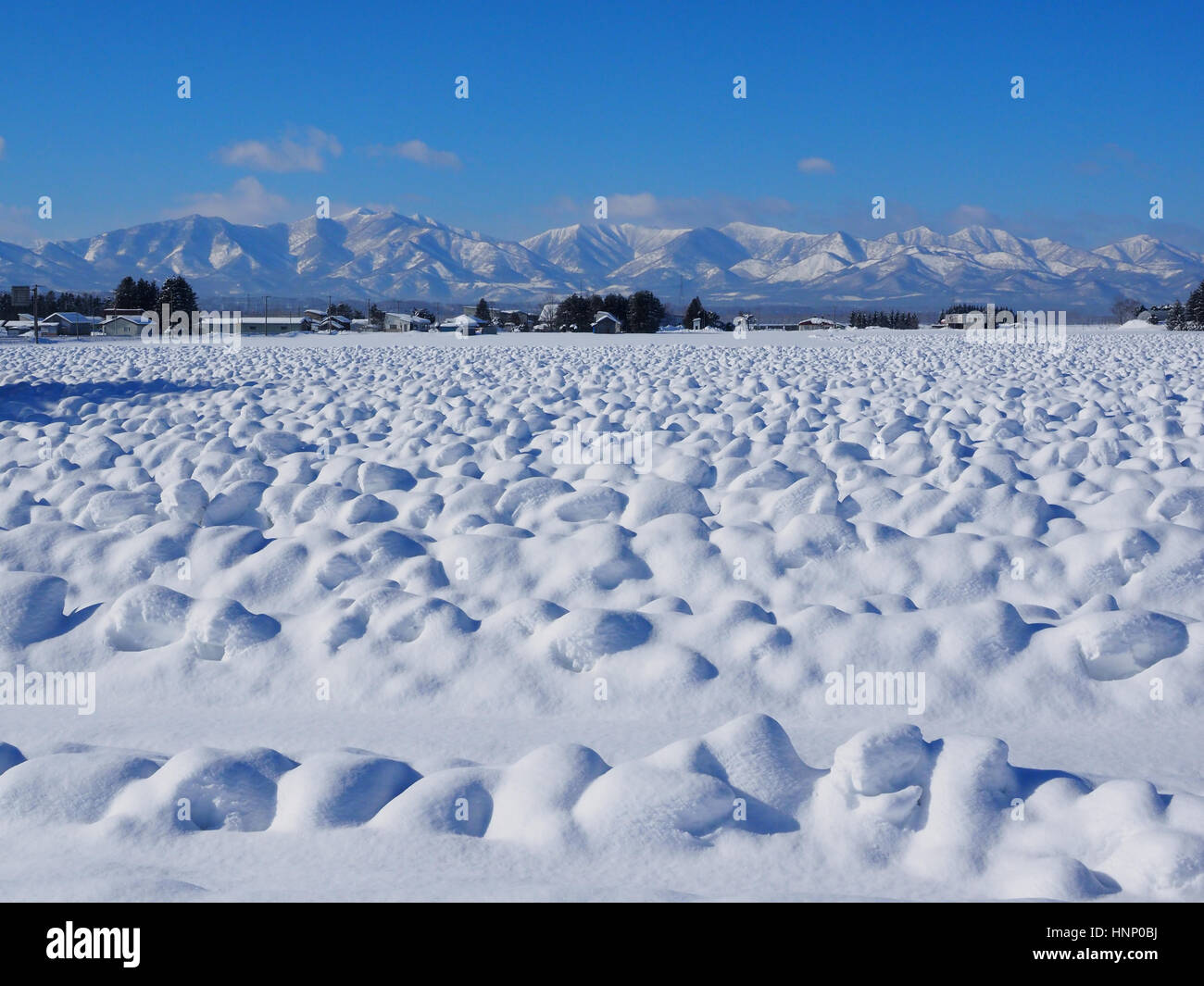 field in winter Stock Photo - Alamy