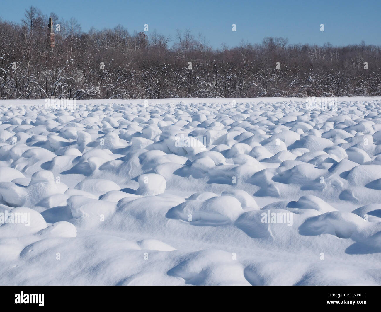 field in winter Stock Photo - Alamy