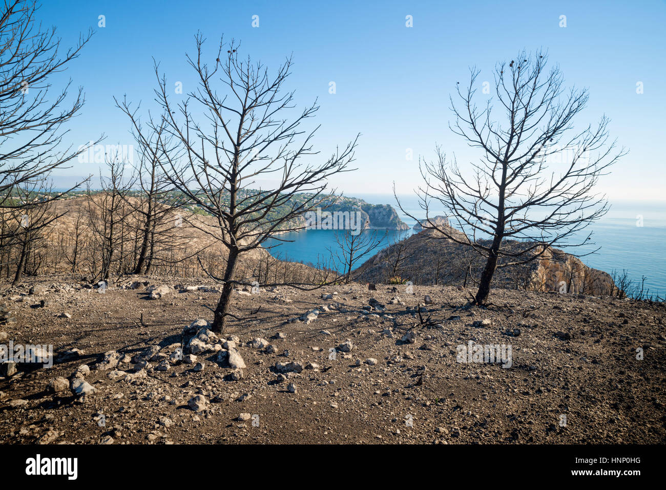 Aftermath of the devastating forest fire that destroyed a Mediterranean ...