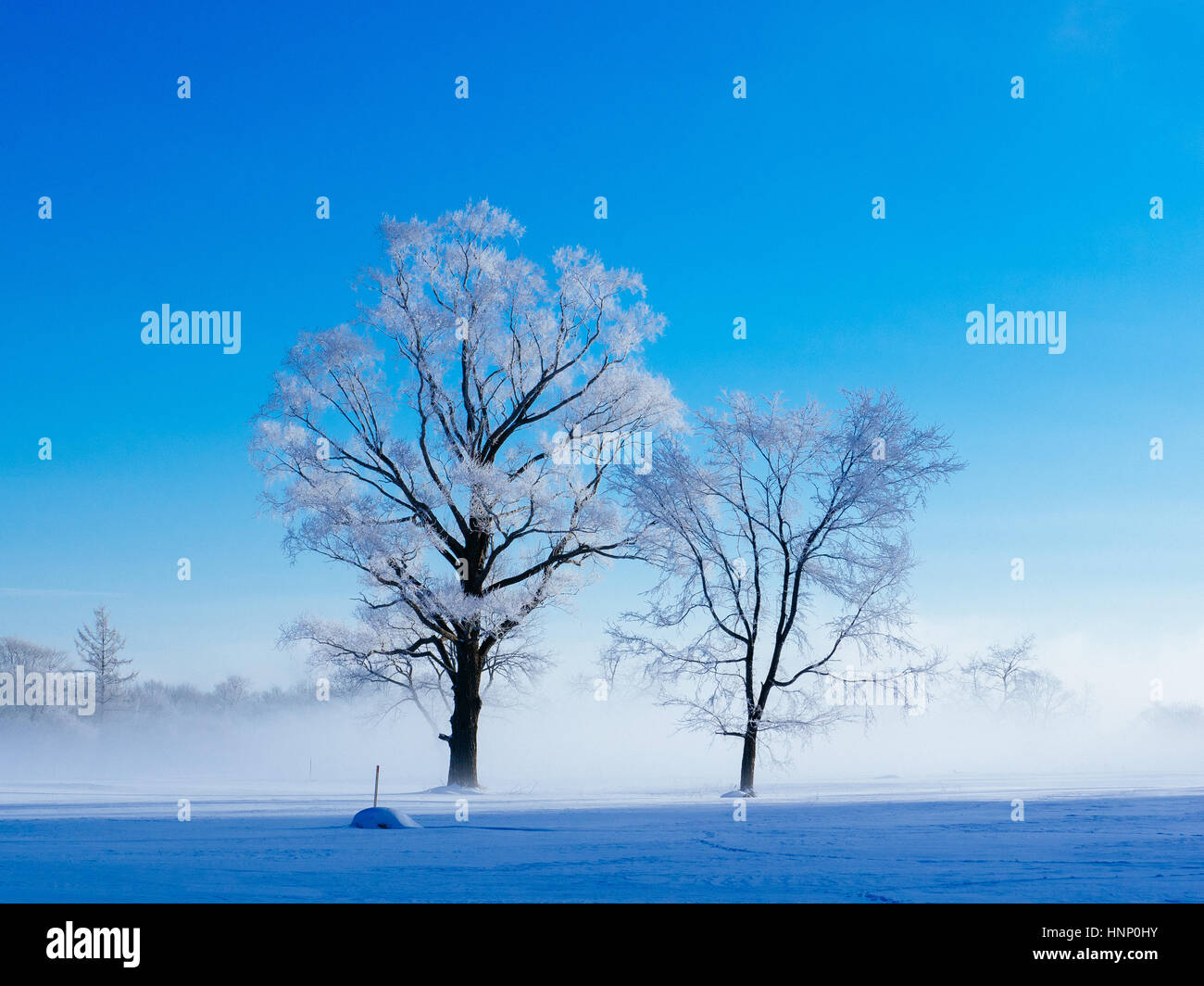 Image soft rime hi-res stock photography and images - Alamy