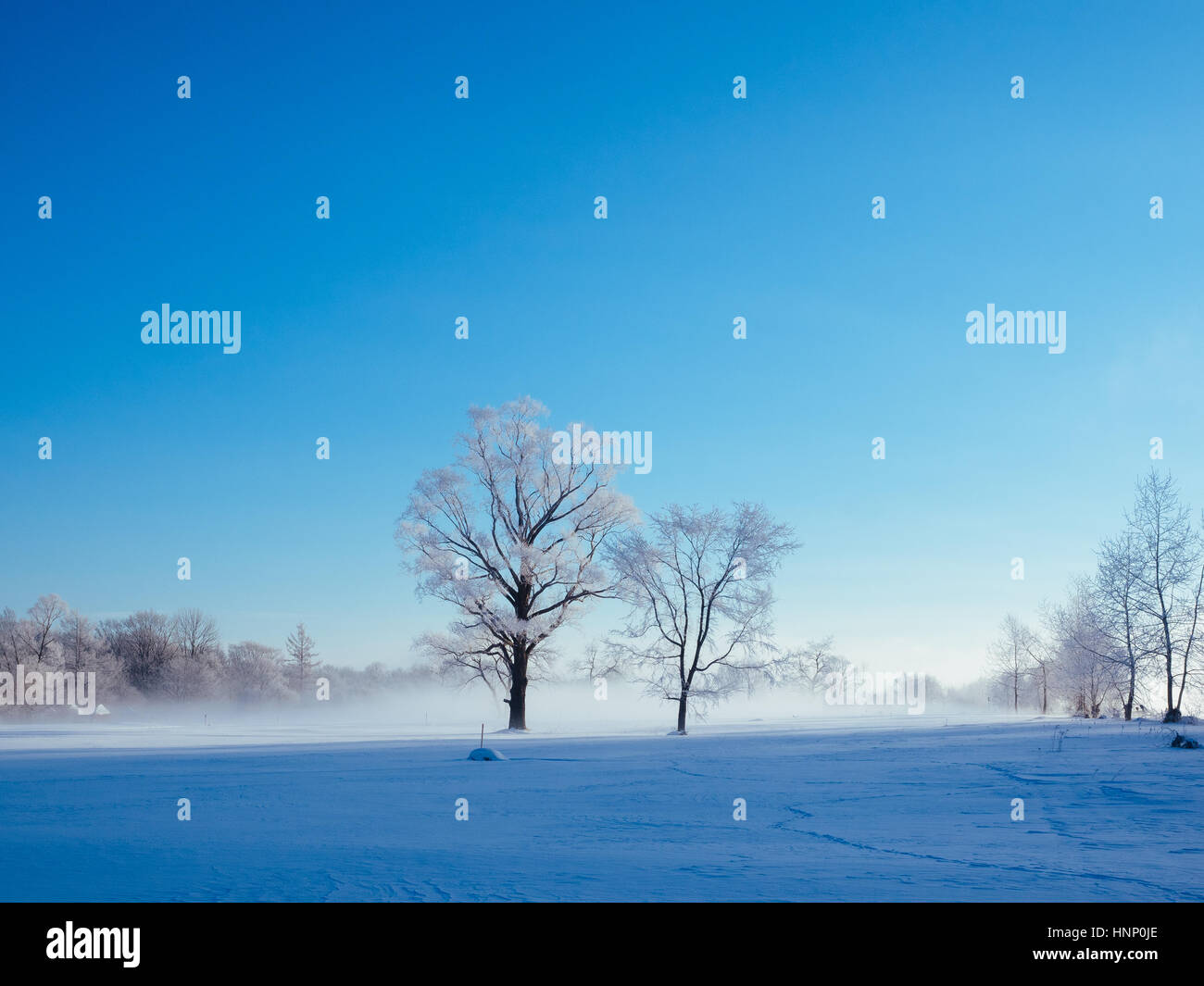 Soft rime hi-res stock photography and images - Alamy