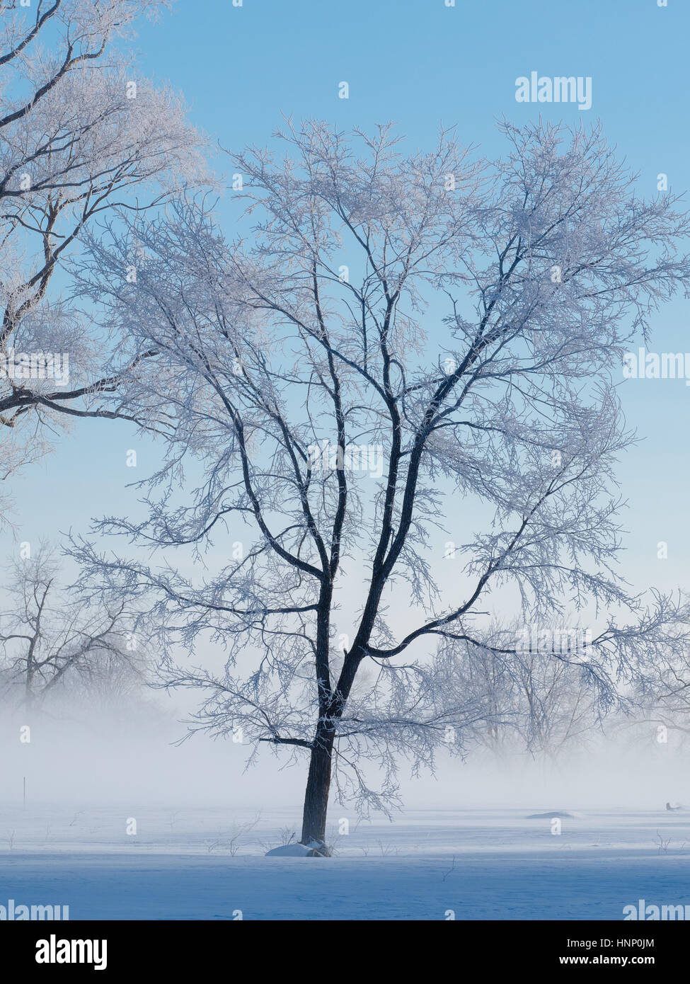 Image soft rime hi-res stock photography and images - Alamy