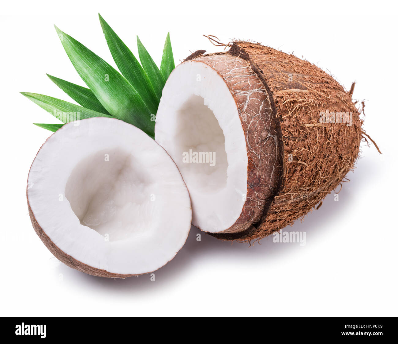Coconut fruit isolated on a white background Stock Photo - Alamy