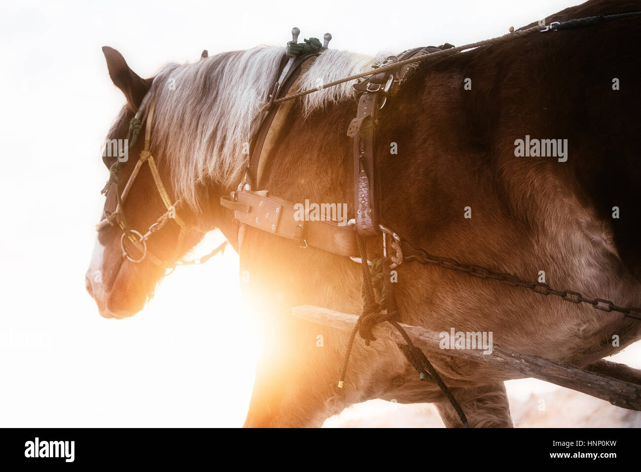 A race track in winter Stock Photo - Alamy