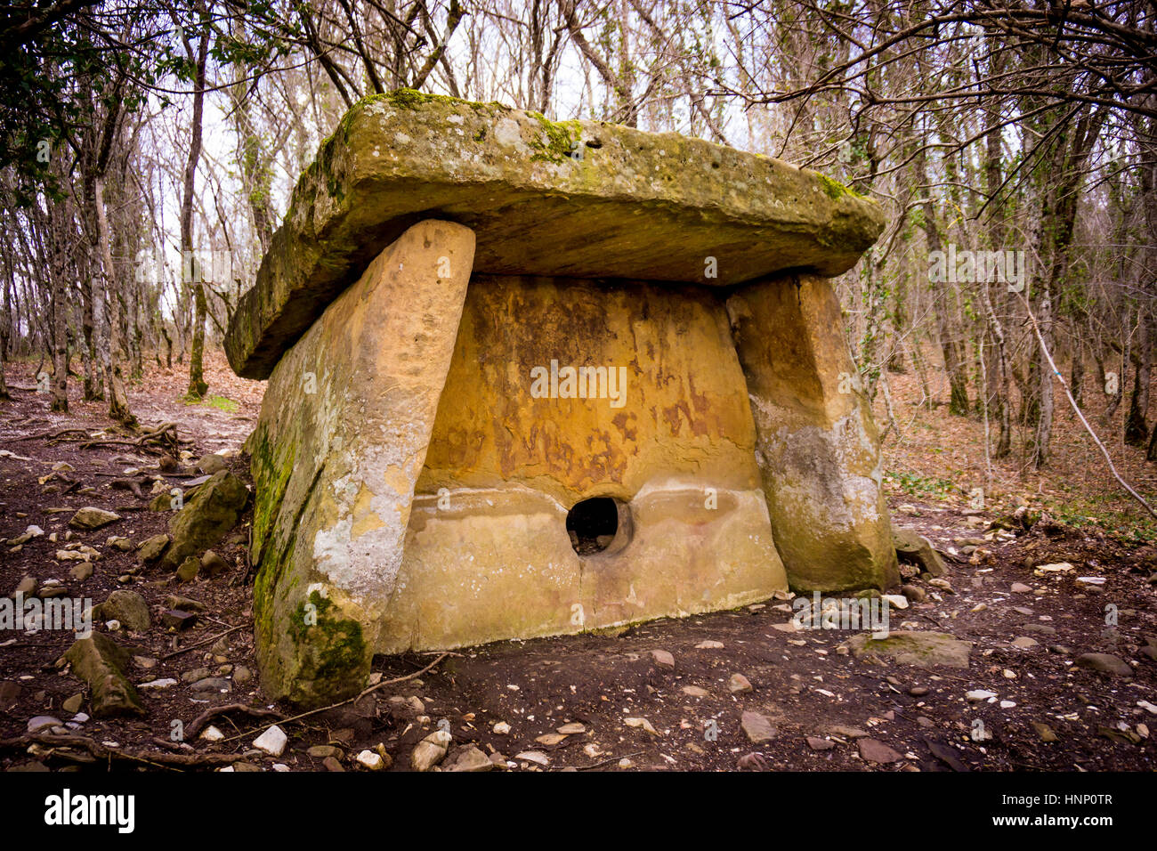 Dolmen in the forest. Near Gelendzhyk, Russia Stock Photo - Alamy