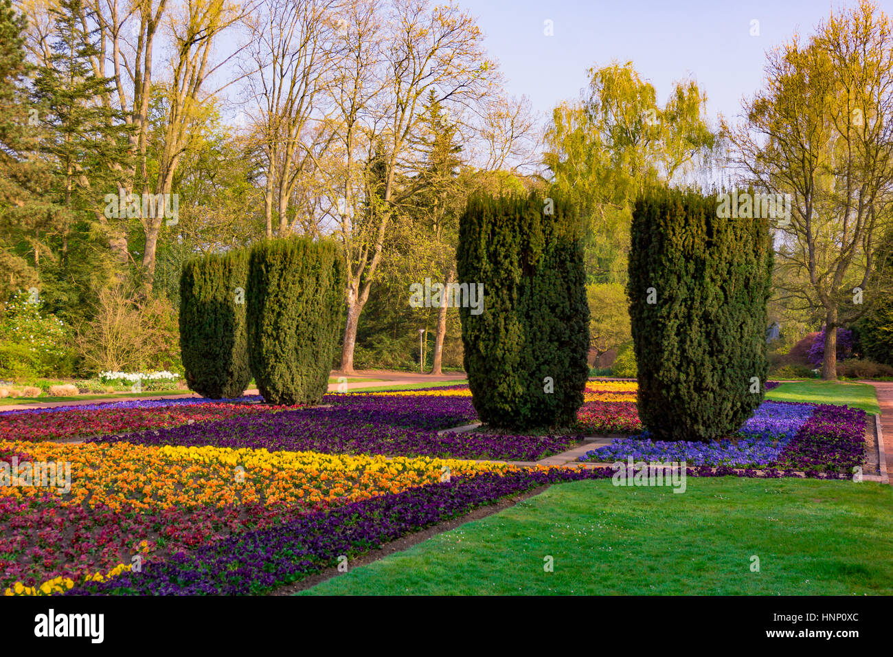 Flowers in the Park. Colorful flowers in the beautiful garden Stock ...