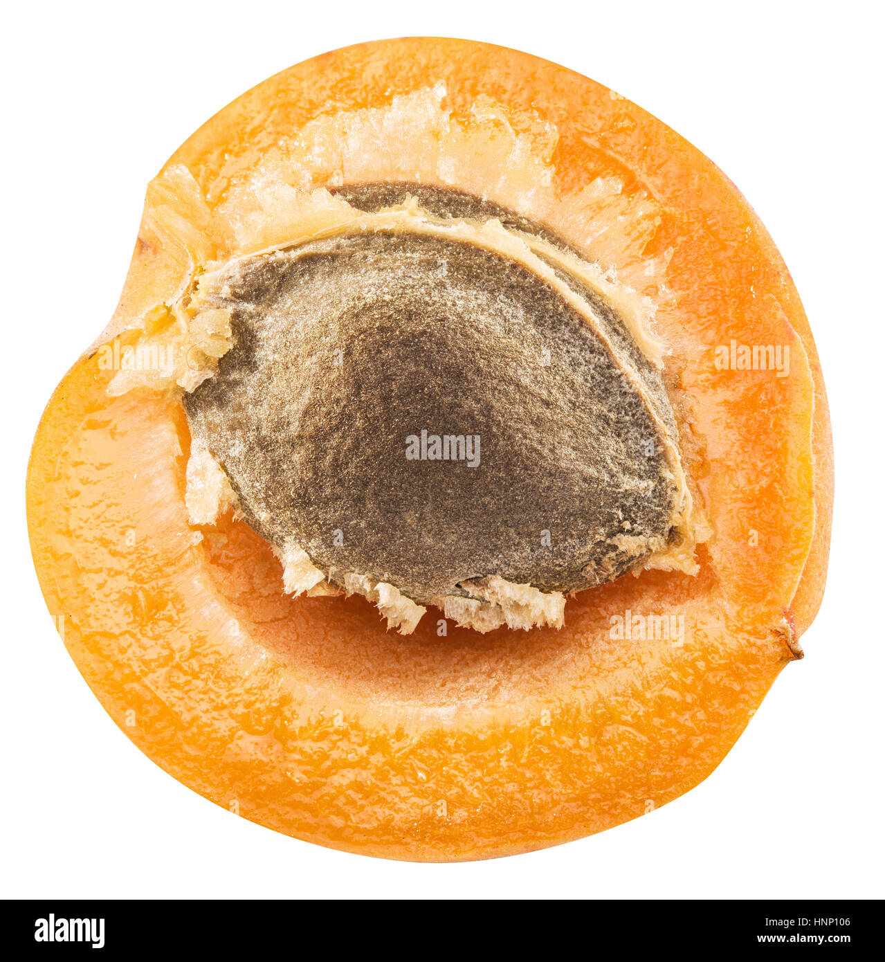 Apricot seed hi-res stock photography and images - Alamy