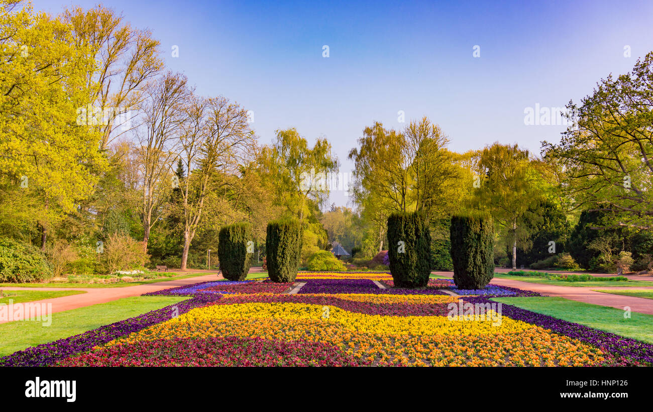 Nice park in the city with trees, Spring flowers and grass Stock Photo ...