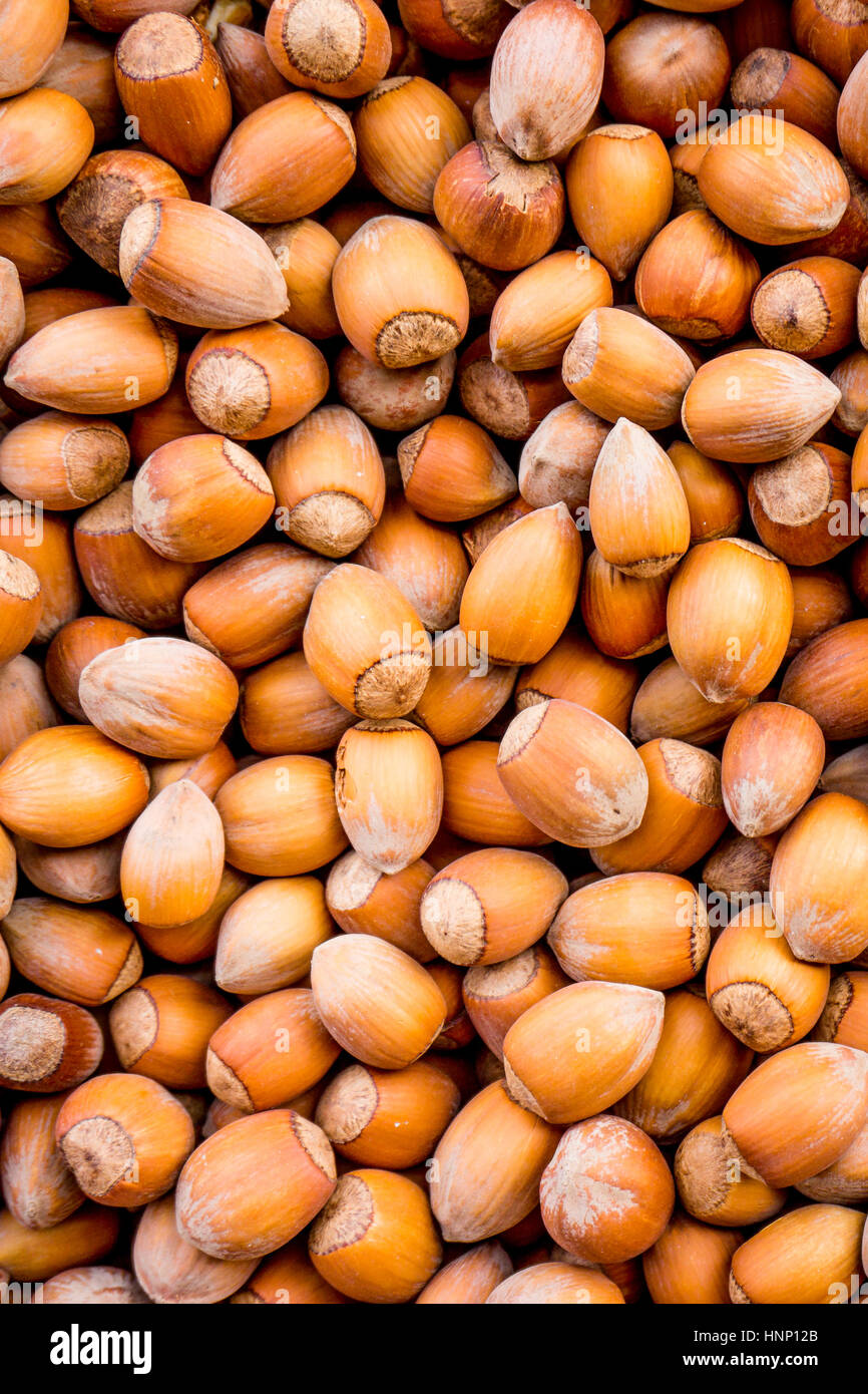Nuts. nuts background pattern. Texture Stock Photo - Alamy