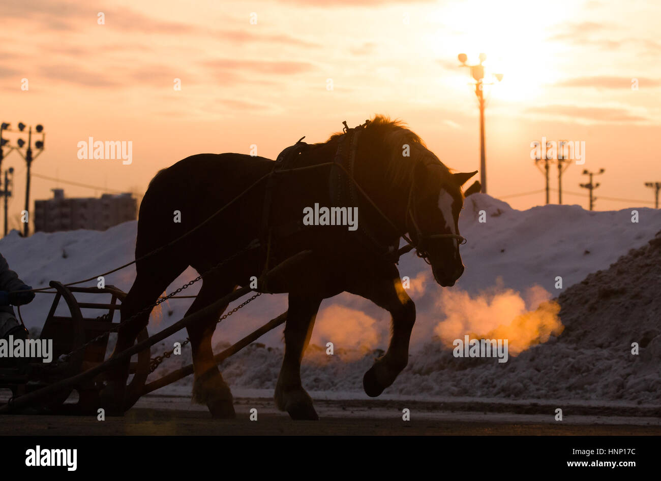 A race track in winter Stock Photo - Alamy