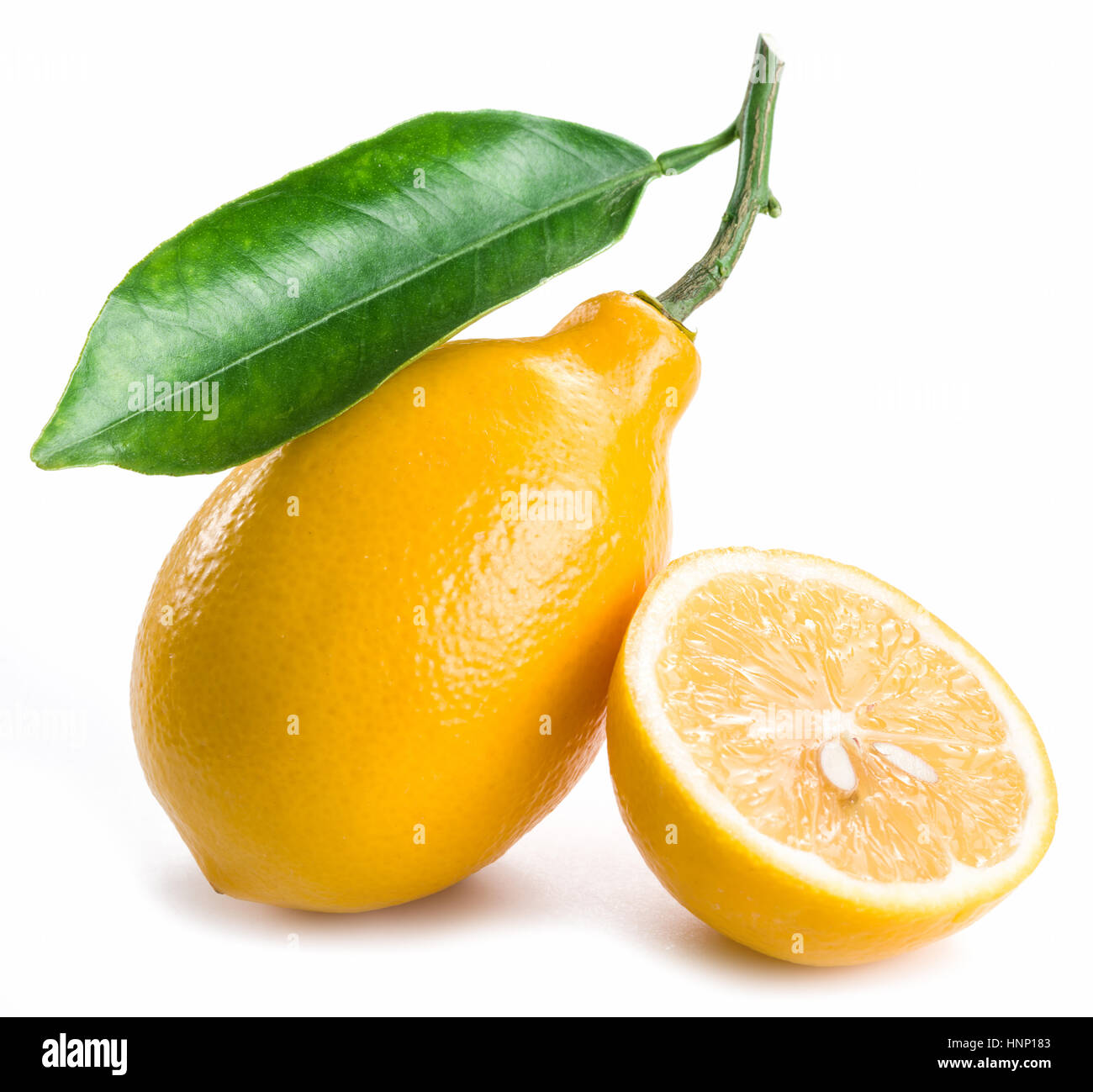 Ripe lemon fruits on the white background Stock Photo - Alamy