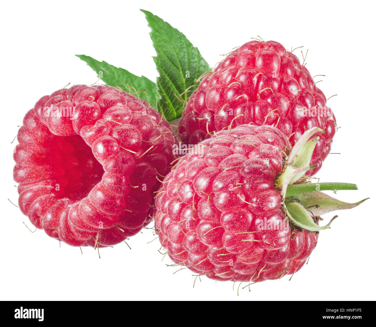 Three raspberries with leaves on the white background Stock Photo - Alamy