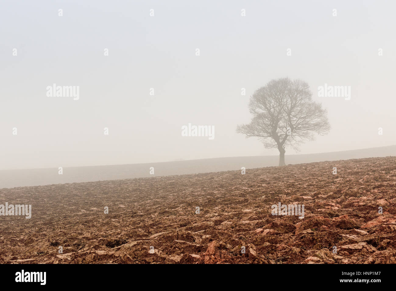 Oxton Nottinghamshire Agricultural farmland,UK Stock Photo - Alamy