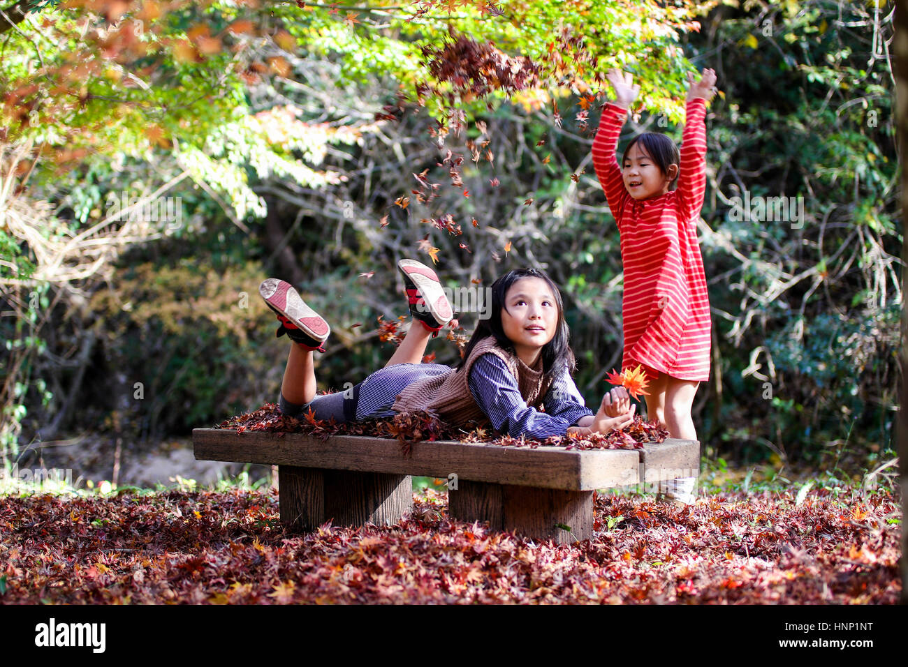 Viewing autumn leaves Stock Photo - Alamy