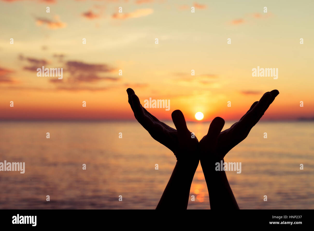 silhouette of female hands during sunset Stock Photo - Alamy