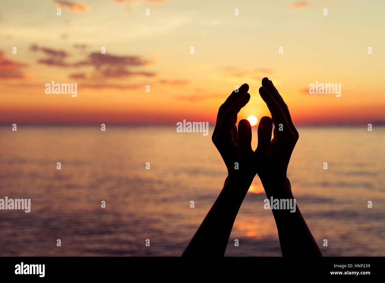 silhouette of female hands during sunset Stock Photo - Alamy