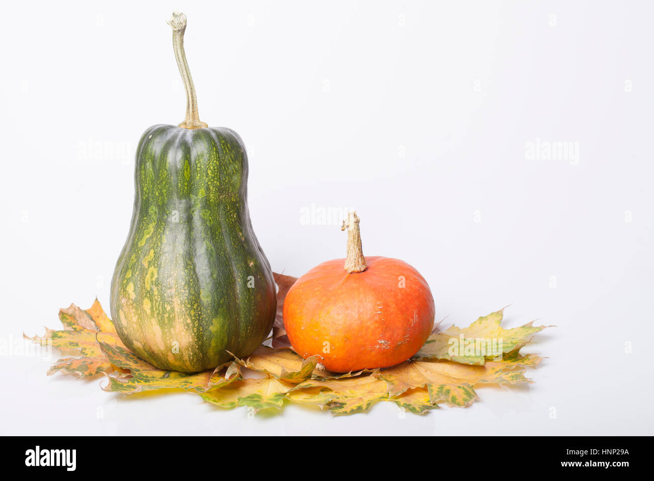 Pumpkin and squash autumn backgrounds on the table Stock Photo - Alamy