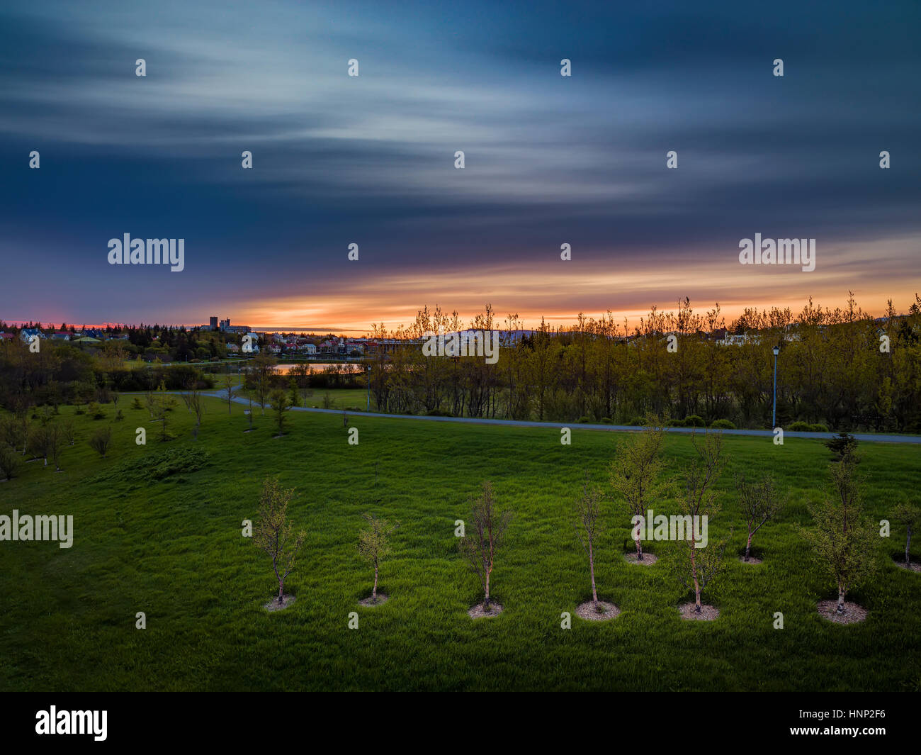 Walking paths and newly planted trees, Reykjavik, Iceland Stock Photo ...