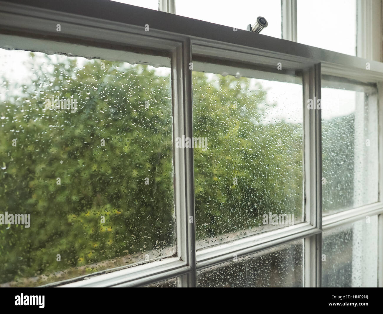 Wet window pane with rain water droplets and greenery background Stock Photo - Alamy