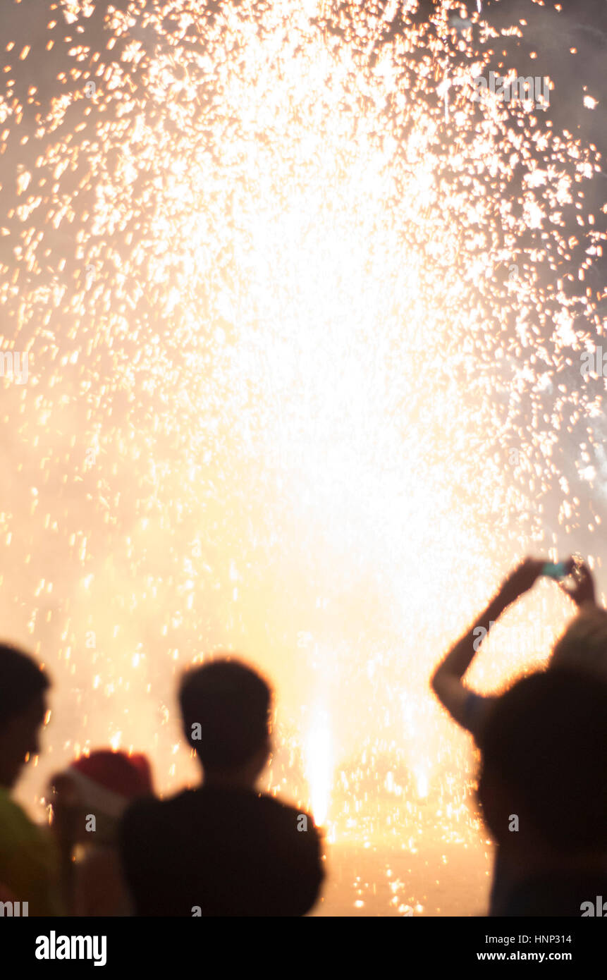 Bright firework explosions on the night sky Stock Photo - Alamy