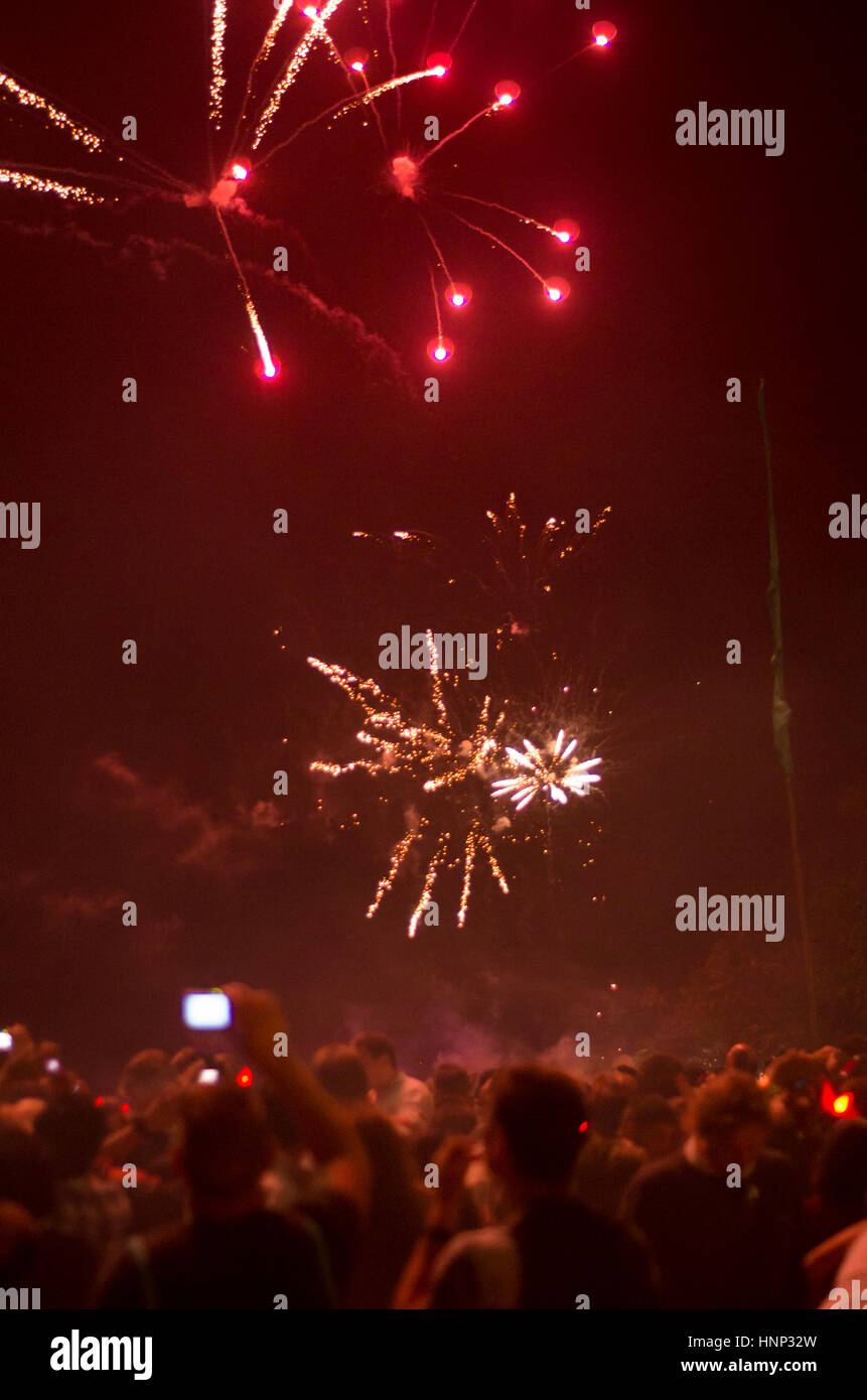 Bright firework explosions on the night sky Stock Photo - Alamy