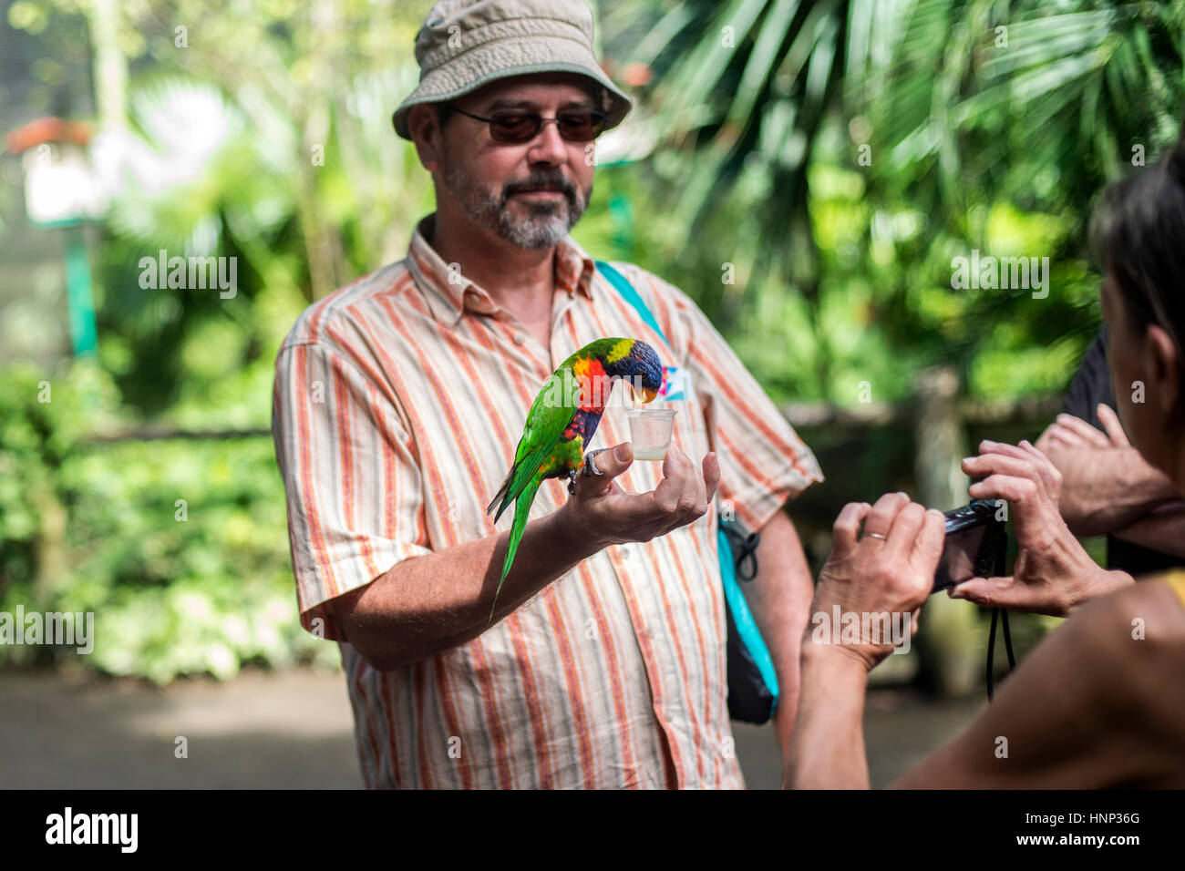 parrot on a human Stock Photo - Alamy
