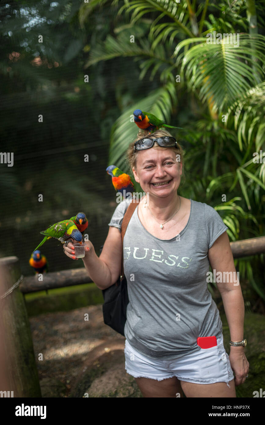 A woman feeding a parrot hi-res stock photography and images - Alamy