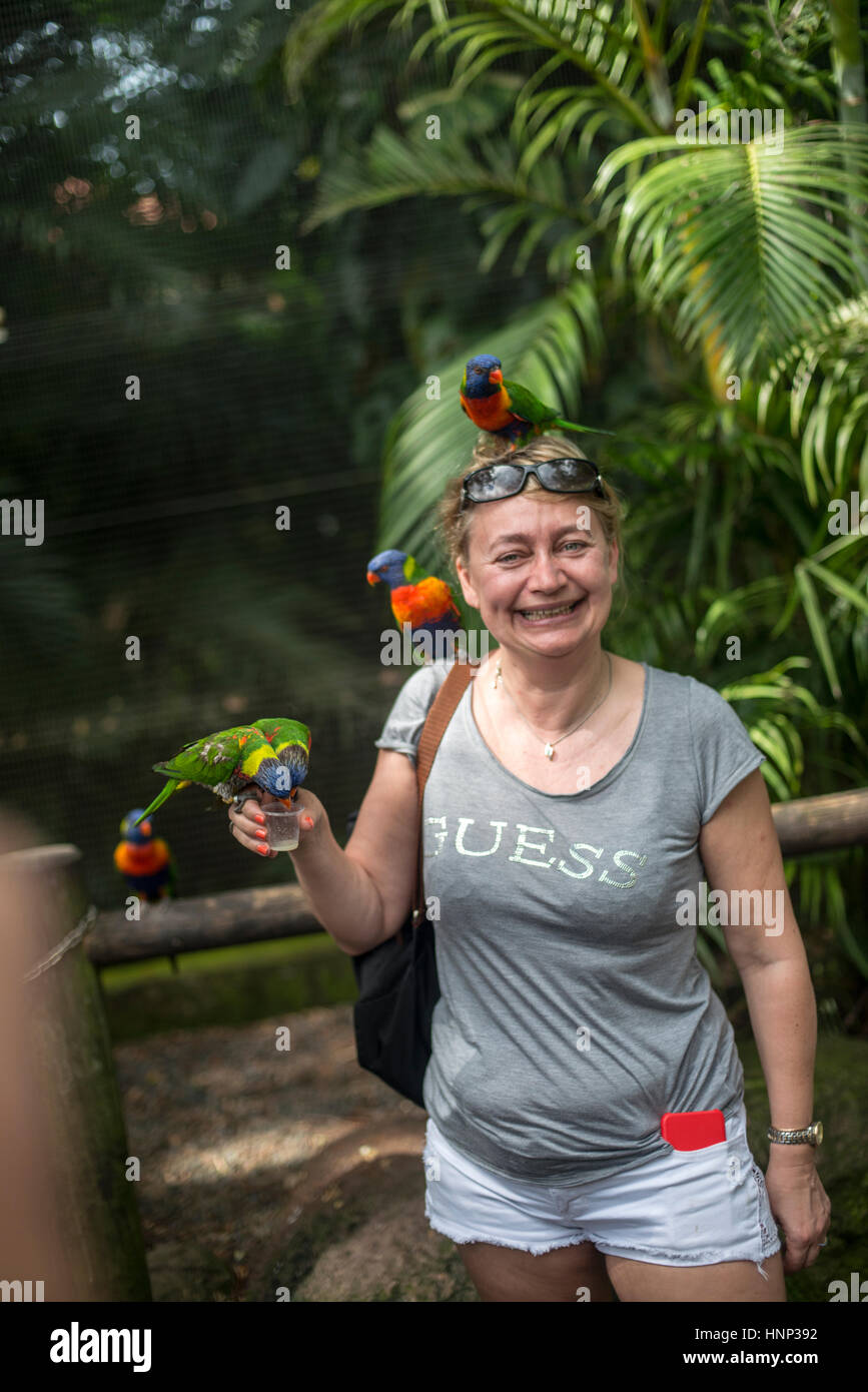 parrot on a human Stock Photo - Alamy