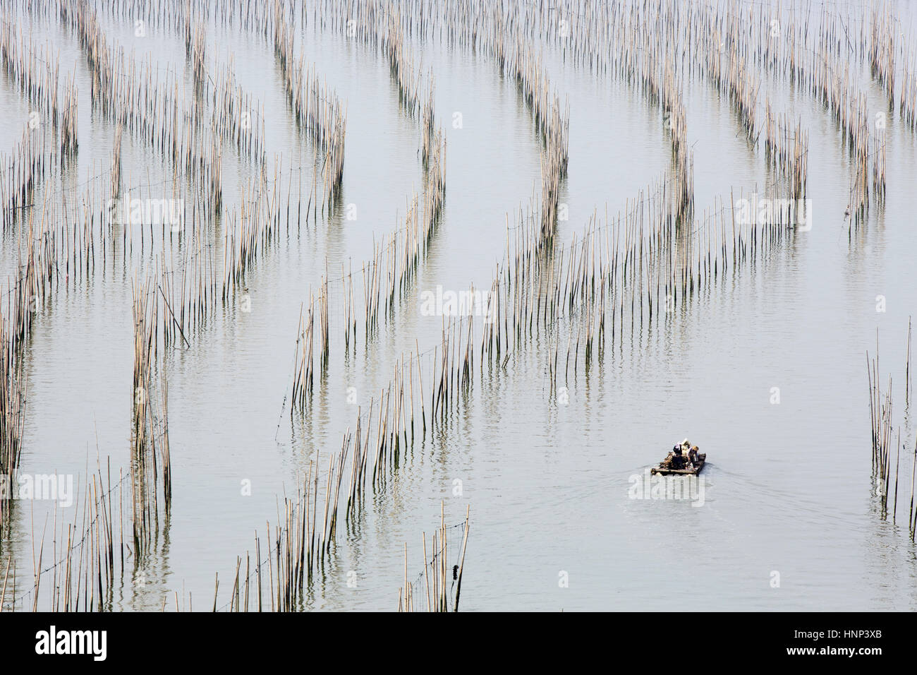 The scenery of Bachimen in Xiapu County,Fujian Province,China Stock ...