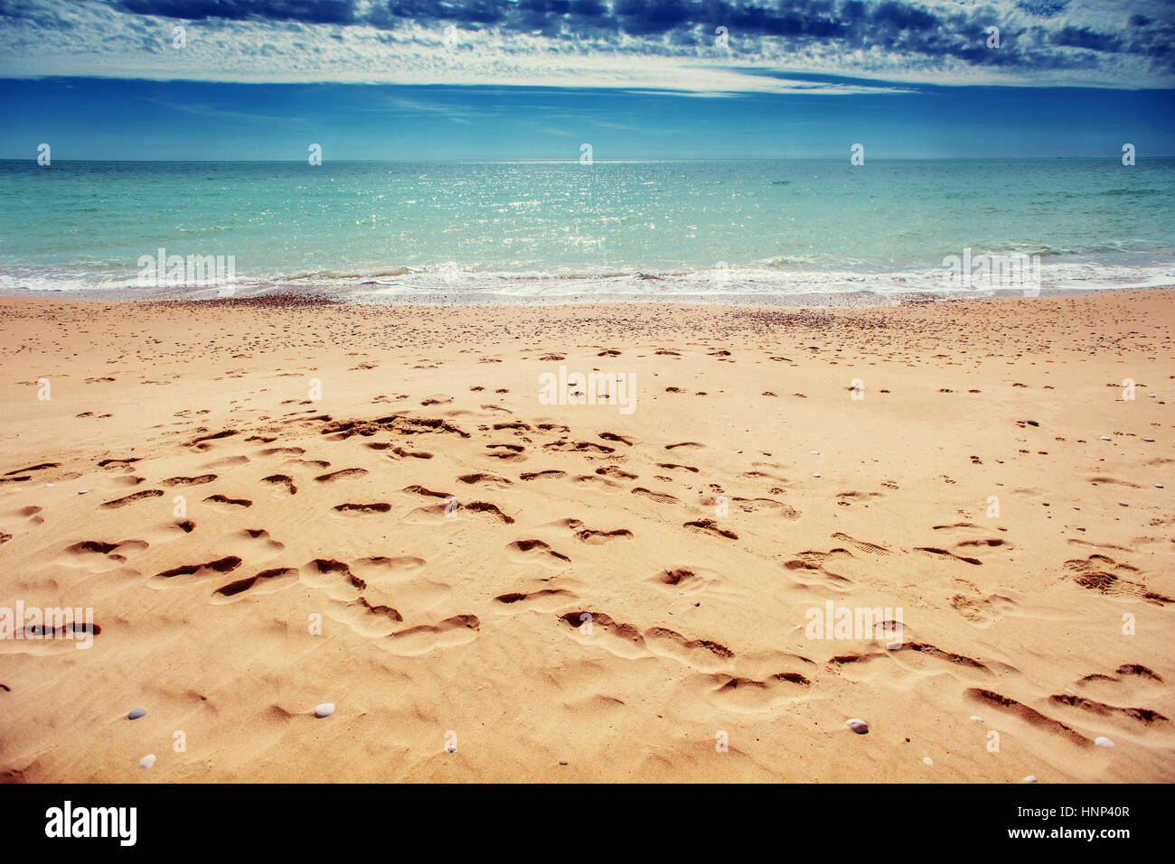 footprints in the sand on the beach Stock Photo - Alamy