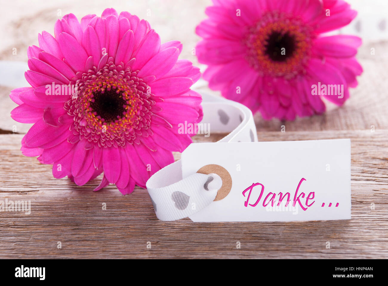 Pink Spring Gerbera, Label, Danke Means Thank You Stock Photo - Alamy