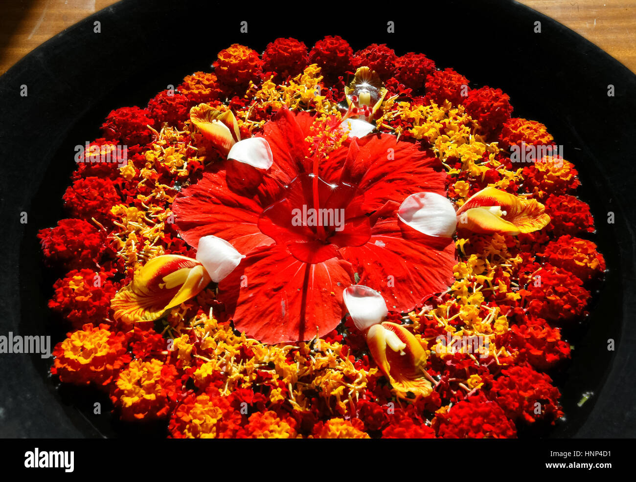 Oberoi Luxurious hotel, Ayurveda, Wellness area, Flower-bed with lotus ...