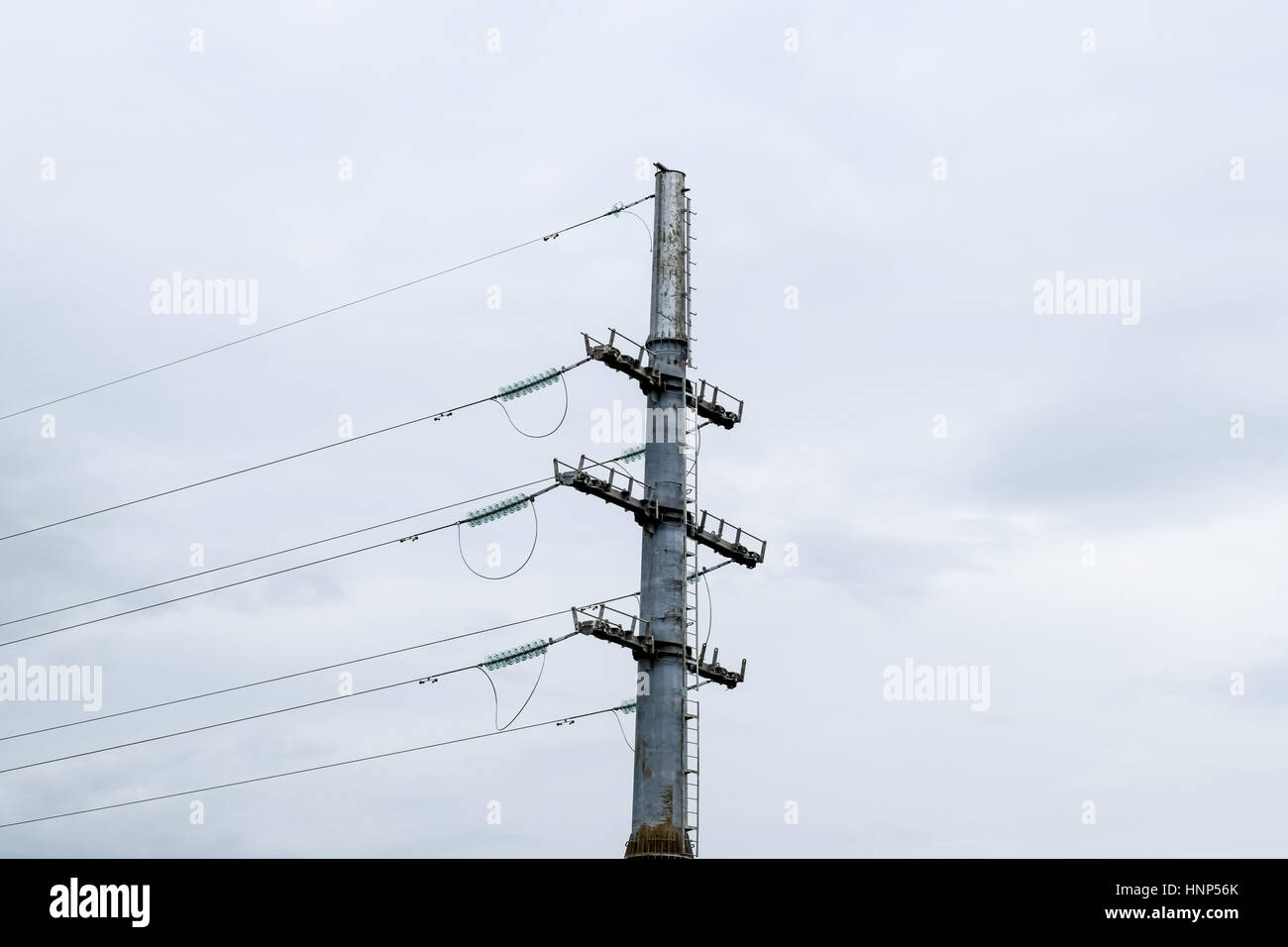 Power line support, insulators and wires. Appearance of a design ...