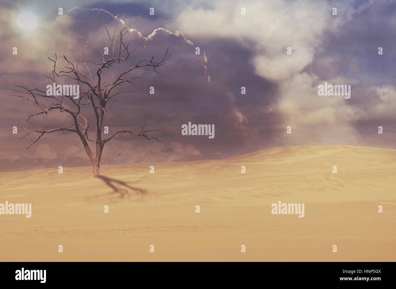 Dead tree in deserted sand dune with moody cloudy sky. Drought, climate ...