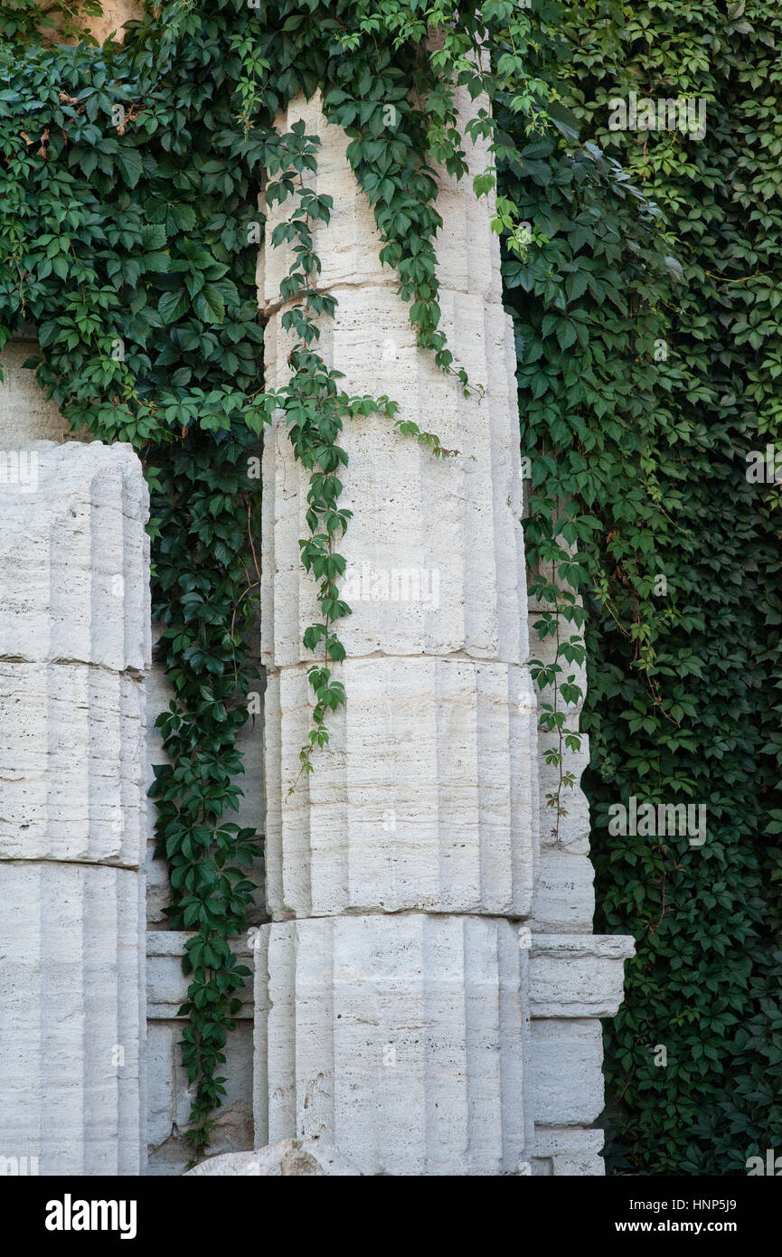 old columns with curly green plants Stock Photo - Alamy