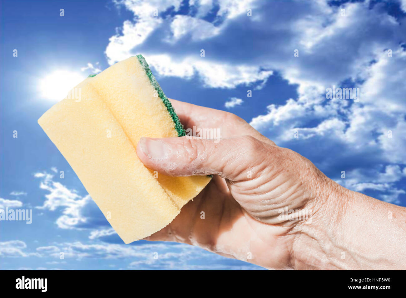 Fresh water sponge hi-res stock photography and images - Alamy