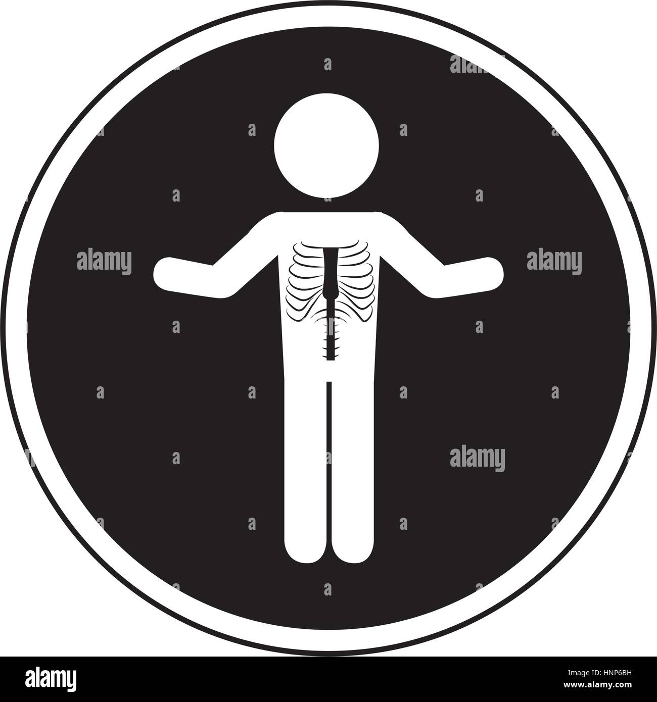 Male Skeletal System High Resolution Stock Photography and Images - Alamy