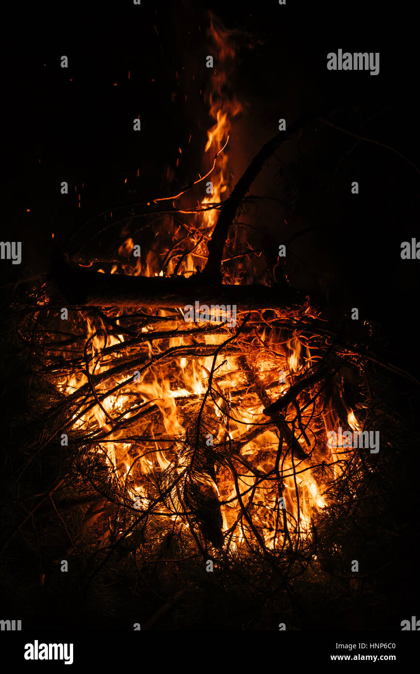 fire in nature Stock Photo - Alamy