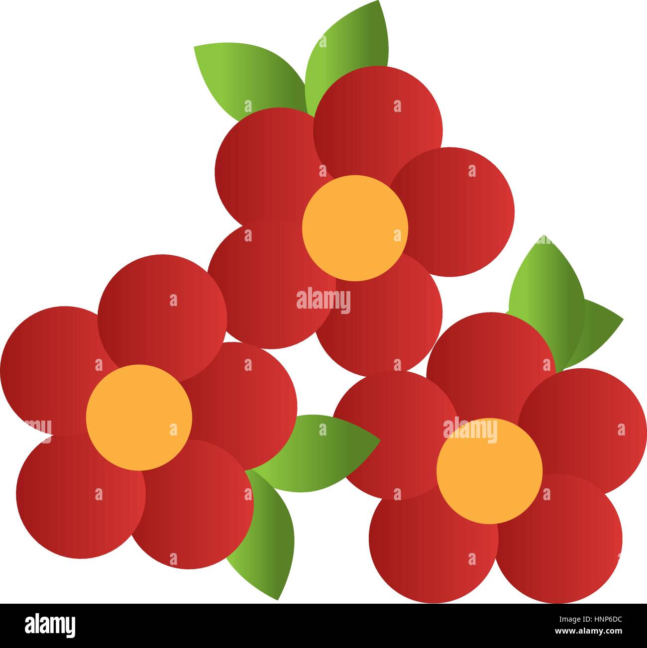 red flowers design with leaves vector illustration Stock Vector Image ...
