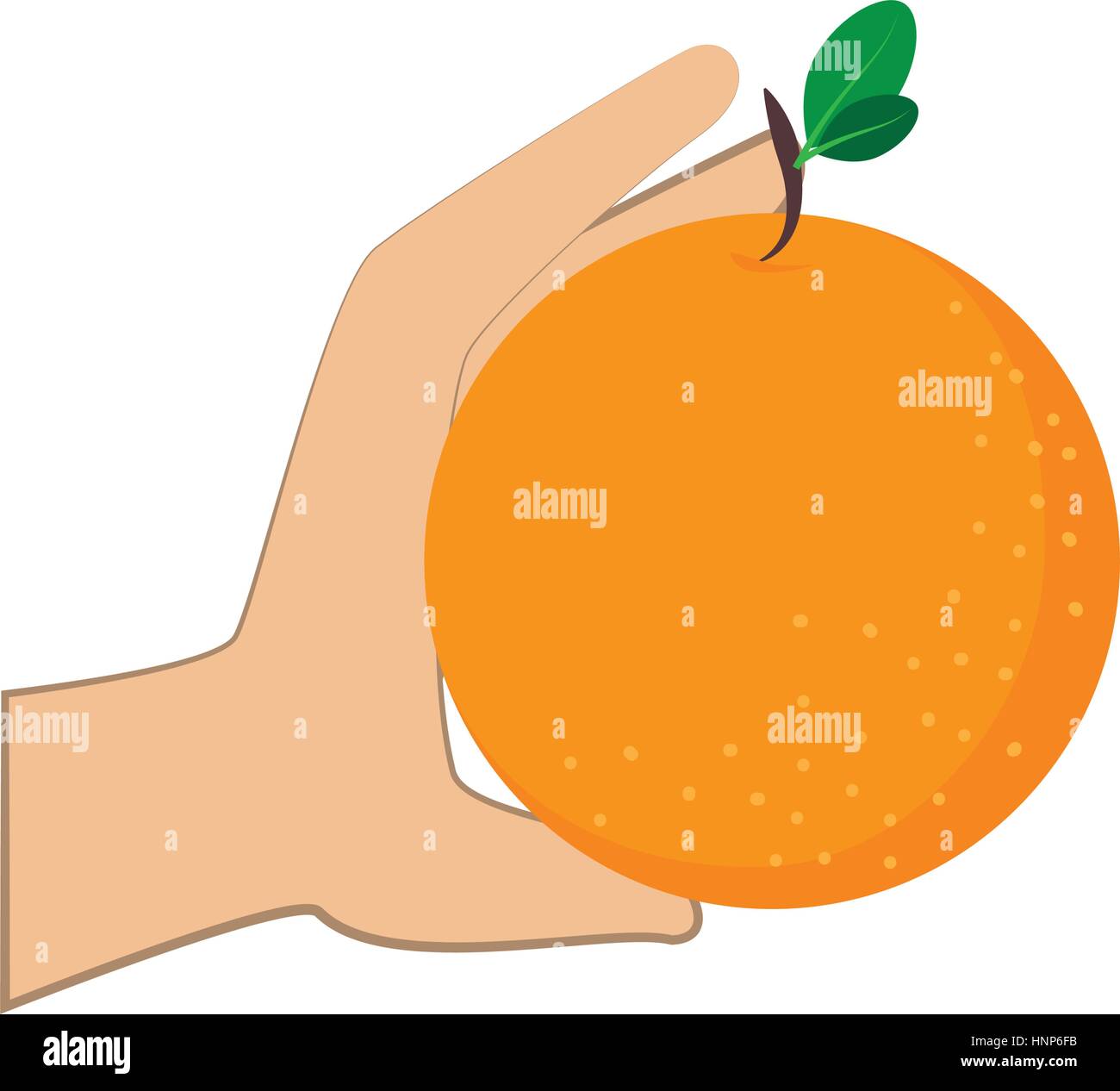 colorful silhouette hand holding orange fruit vector illustration Stock ...