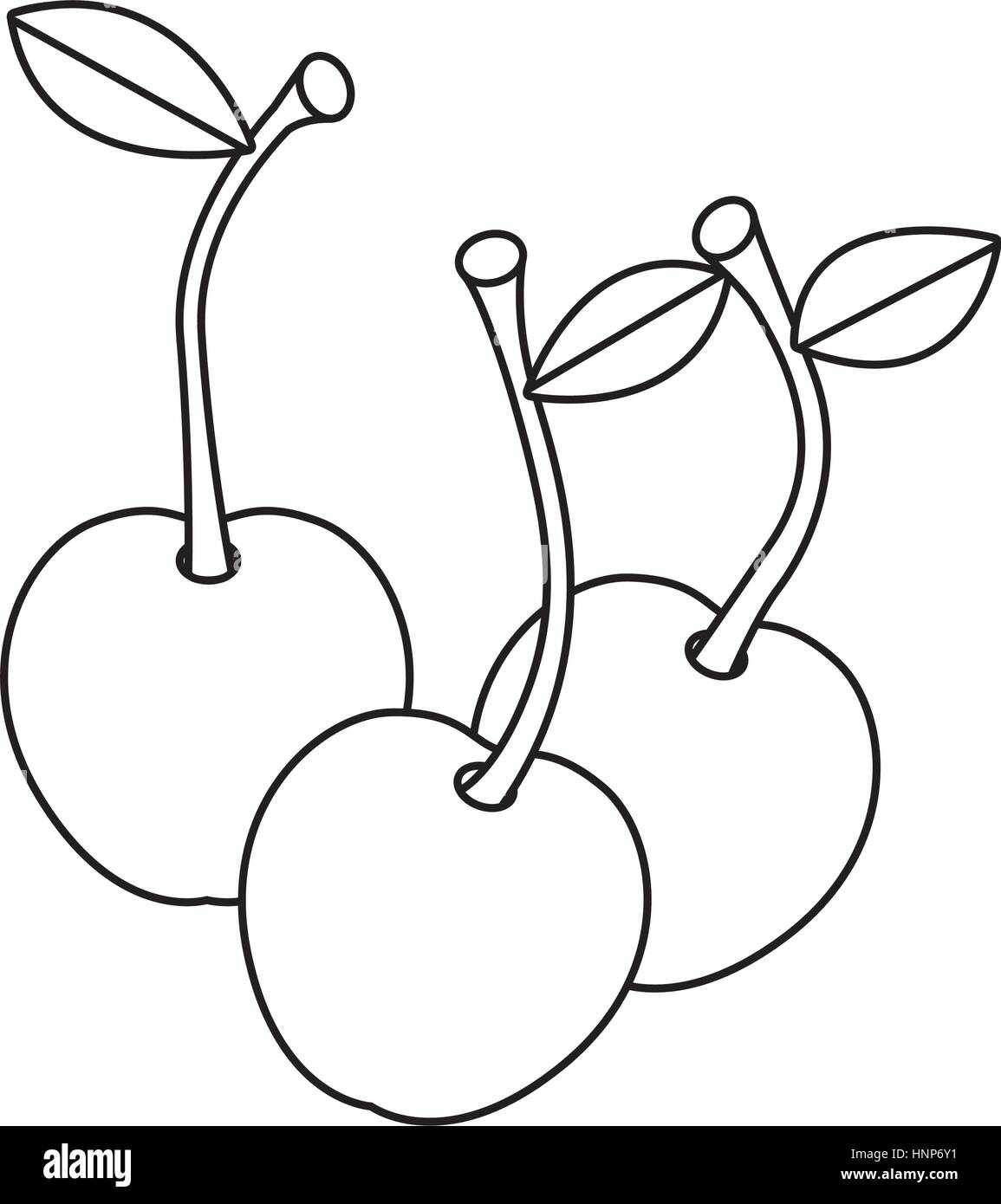 Fruit line art set Black and White Stock Photos & Images - Alamy