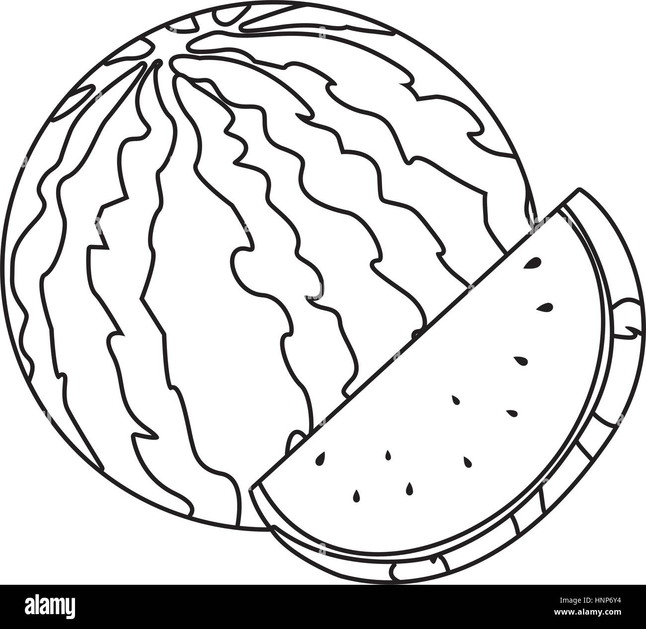 Line drawing fruit Stock Vector Image & Art - Alamy